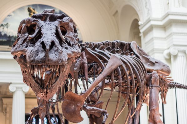 How to Spend a Weekend in Chicago with Kids - Along for the Trip