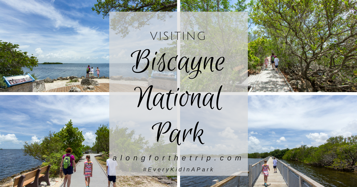 Visiting Biscayne National Park (and why you shouldn't put it off ...