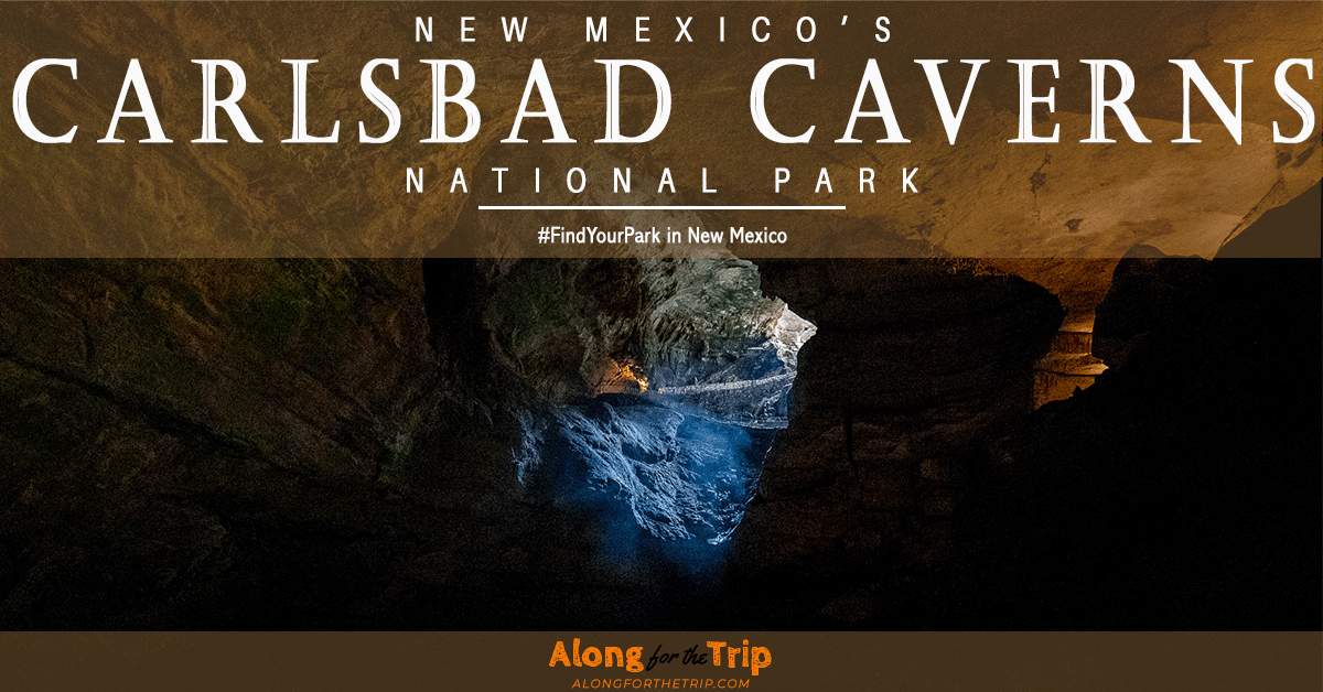 A Day in Carlsbad Caverns National Park - Along for the Trip